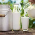 Battitud de leche de vaca: cuántos por ciento en promedio y depende de la norma 4696_5