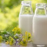 Batttitude de lait de vache: combien de pourcentage en moyenne et dépend de la norme 4696_8