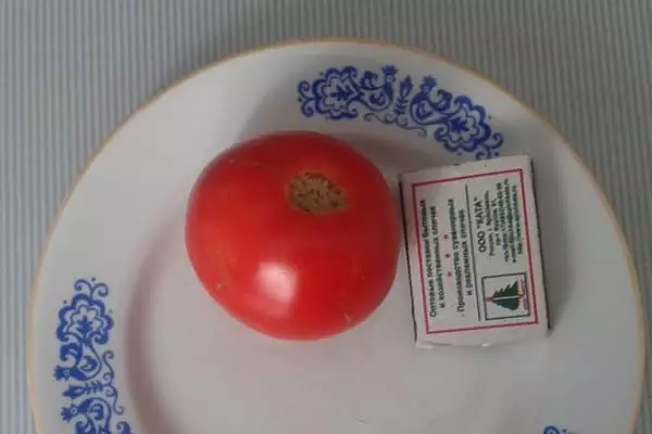 Kiparis como tomate