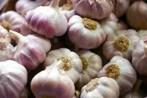 Beschrijving van Garlic Grade Bashkir 85, eigenaardigheden van teelt en zorg