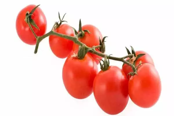 Tomato Cystic