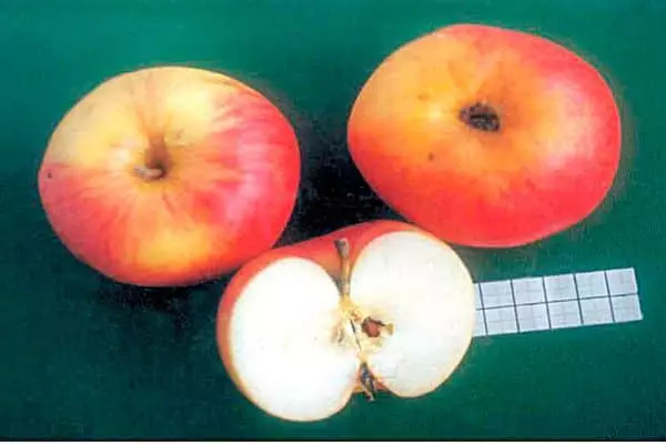 苹果树假设：各种品种和产量，优缺点描述