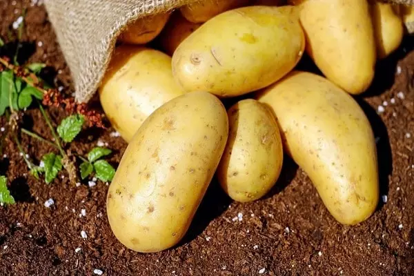 Vintage potatis