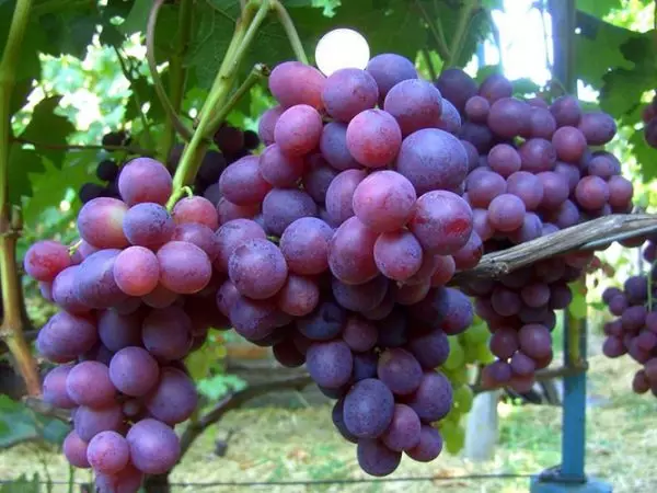 Presente de uvas nas proximidades