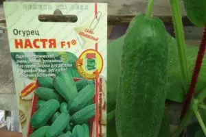 Description of the grade of cucumber Nastya F1, the peculiarities of cultivation and care