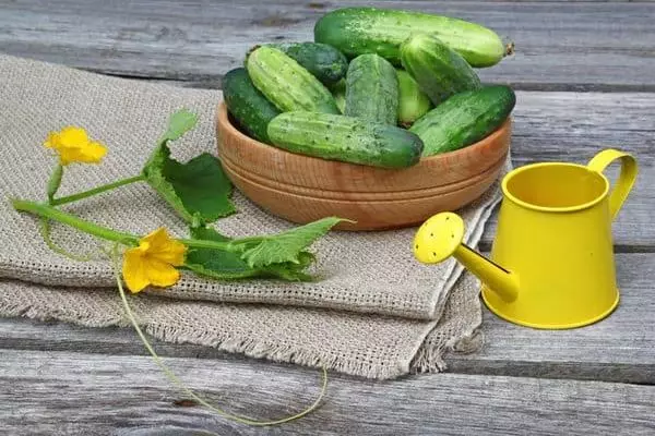 Jiri calcium na ammonium nitrates maka cucumbers dị ka nri