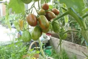 Descrición do tomate de tomate Super Especificación, a súa característica e rendemento