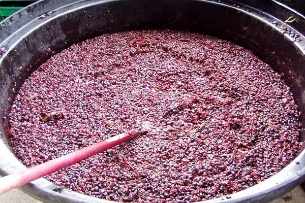 Wyn fermentaasje