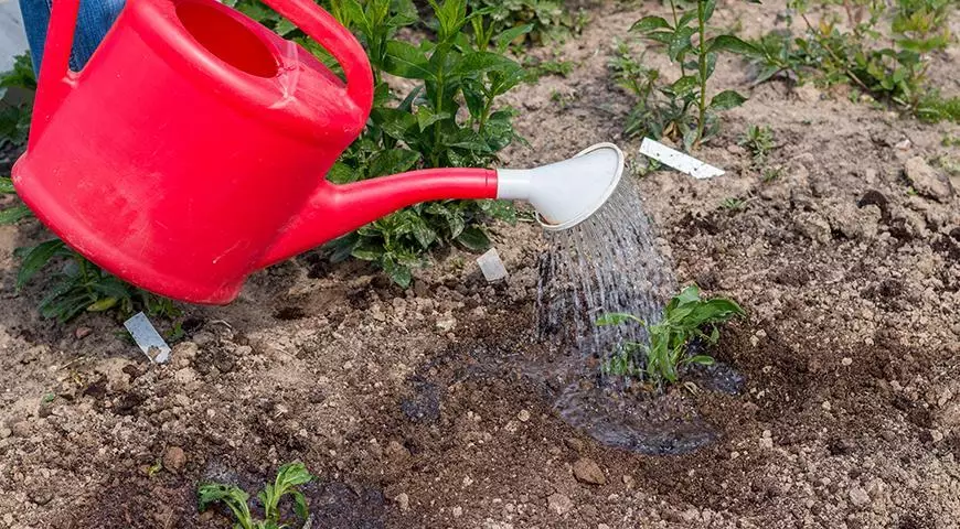 Sürekli eylemin herbisitleri