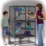 Cage for Ferret: com fer-ho vosaltres mateixos, mides i dibuixos, allò que es necessita i quant costa 4873_3