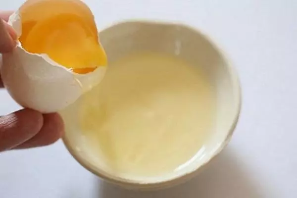 białko jajka