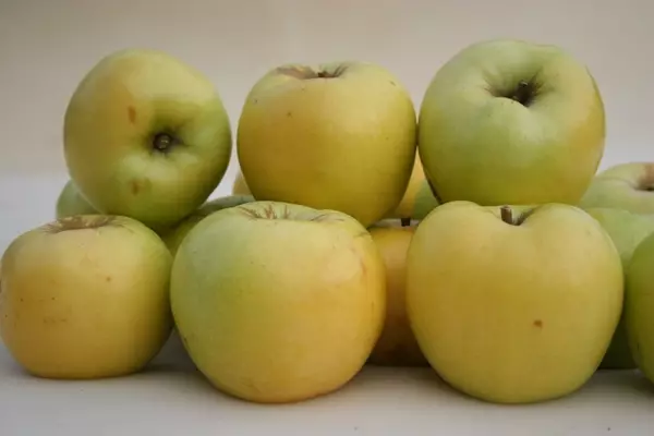 Apple Athonovka