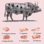 Partes do corpo da vaca: Qual é o nome do corte de carcaças, armazenamento de carne 4972_7