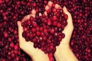 L-aqwa 3 Riċetta għal lingonberries iffriżati għax-xitwa fid-dar