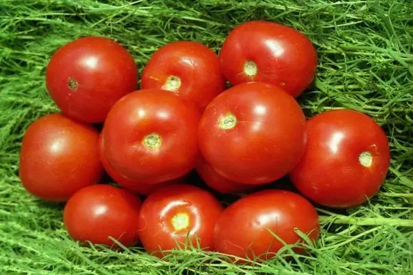 Volgogradsky tomāti