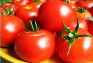 Khi nào trồng cà chua trên cây giống ở Ukraine vào năm 202