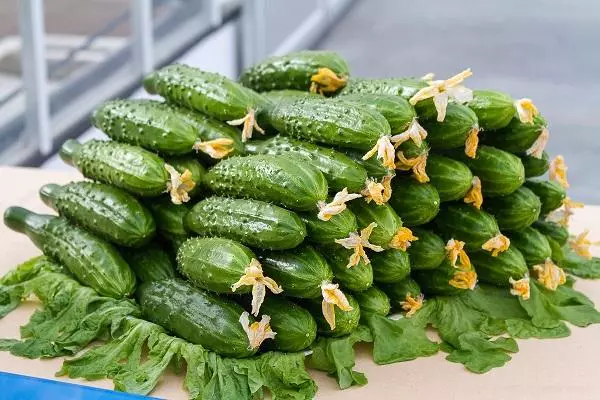 Warehouse cucumbers