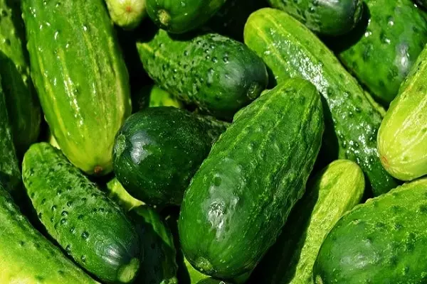 Mai haske cucumbers