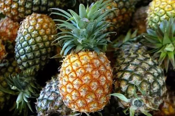 Fresh Pineapple.