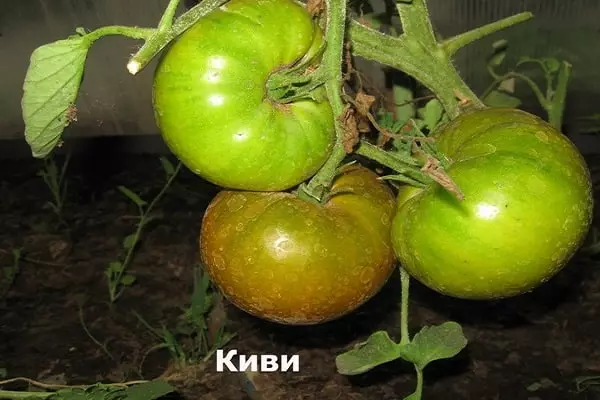 Tomato kiwi.