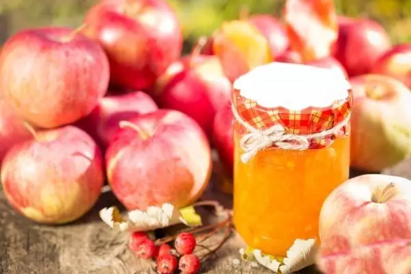 Apple-Apricot Jam mam Viburnum