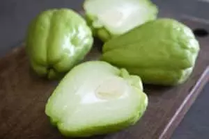 Paghulagway sa grado sa Mexico cucumber, lahi sa pagtanum ug ani