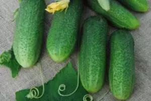 Cucumbers ডলোমাইট গ্রেড এর বিবরণ, তার চরিত্রগত এবং ফলন