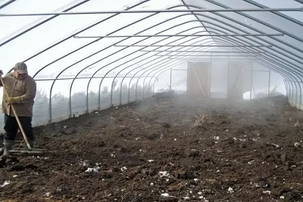 Paggamot ng greenhouse.