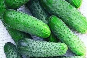 شرح Vyatsky Cucumbers تنوع، ویژگی های آن و عملکرد آن