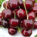 Cherry Bigarro: Description of the variety and characteristics, landing and growing 5135_4