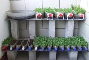Вирощування огірків на балконі в пластикових пляшках