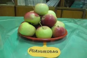 Опис сорти яблунь Джерельна, врожайність і вирощування