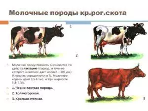 What factors affect the lambility indicators in cows and methods for determining