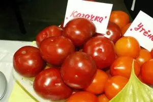 Tomatearen kozakoaren deskribapena eta haren ezaugarriak