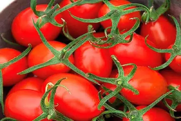 Tomato Bucket.