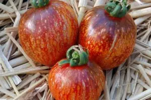 トマトのトマトの説明ダークギャラクシーとその特徴