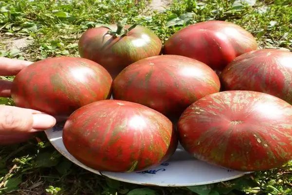 Pomidorų Berkeley