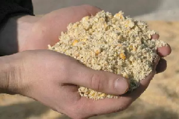 Crushed corn