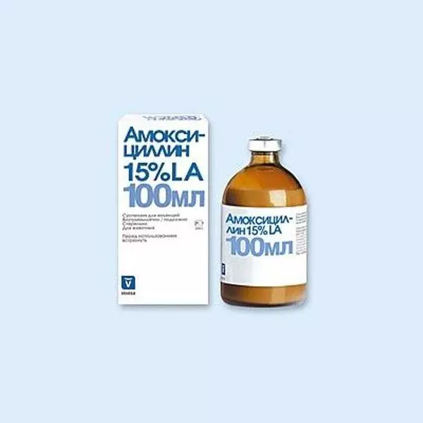 Amoxicillin за CRS: инструкции за употреба и состав, потрошувачка стапка 5236_2