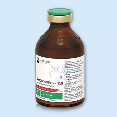 Amoksicillin për CRS: Udhëzime për përdorim dhe përbërje, norma e konsumit 5236_4