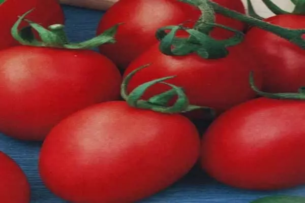 Lagid tomato