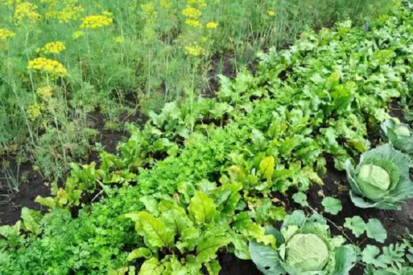 plantado en pasillo