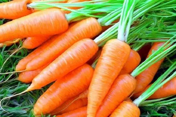 সুন্দর carrots.