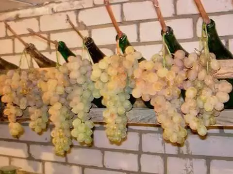Przechowywanie winogron