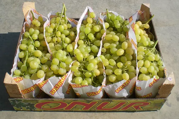Druiven in tassen