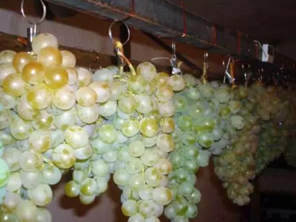 Almacenamiento de uvas