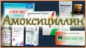 Instruksjoner for bruk og sammensetning av amoksicillin for storfe, forbrukshastighet