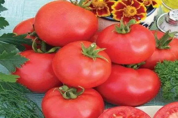Tomate hakkında yorumlar