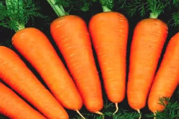 Porkkanat abaco