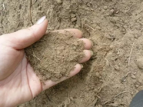 Soil de area